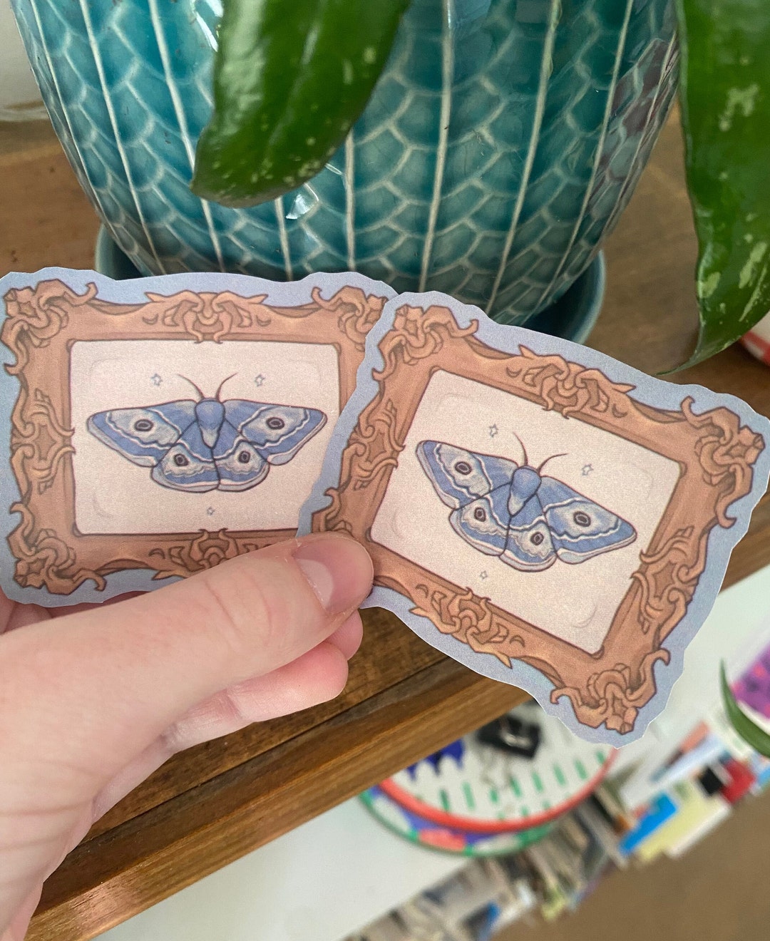 Framed Moth Sticker | Glossy and Waterproof - Etsy