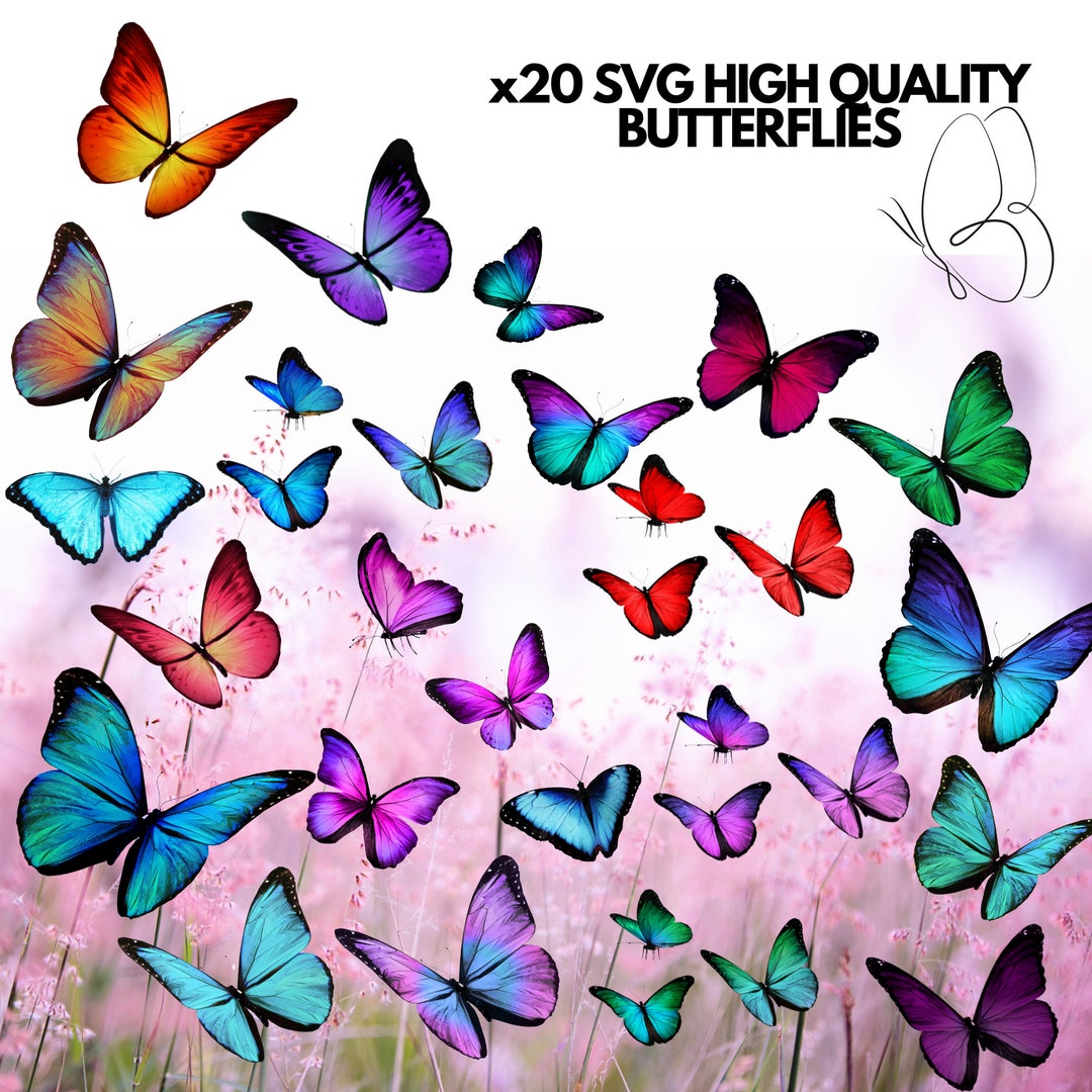 X20 Butterfly SVG Files, Digital Download, Instant Digital Download ...