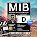 MIB Id Template, Printable Id Badge Mib, Personalized Men in Black ...