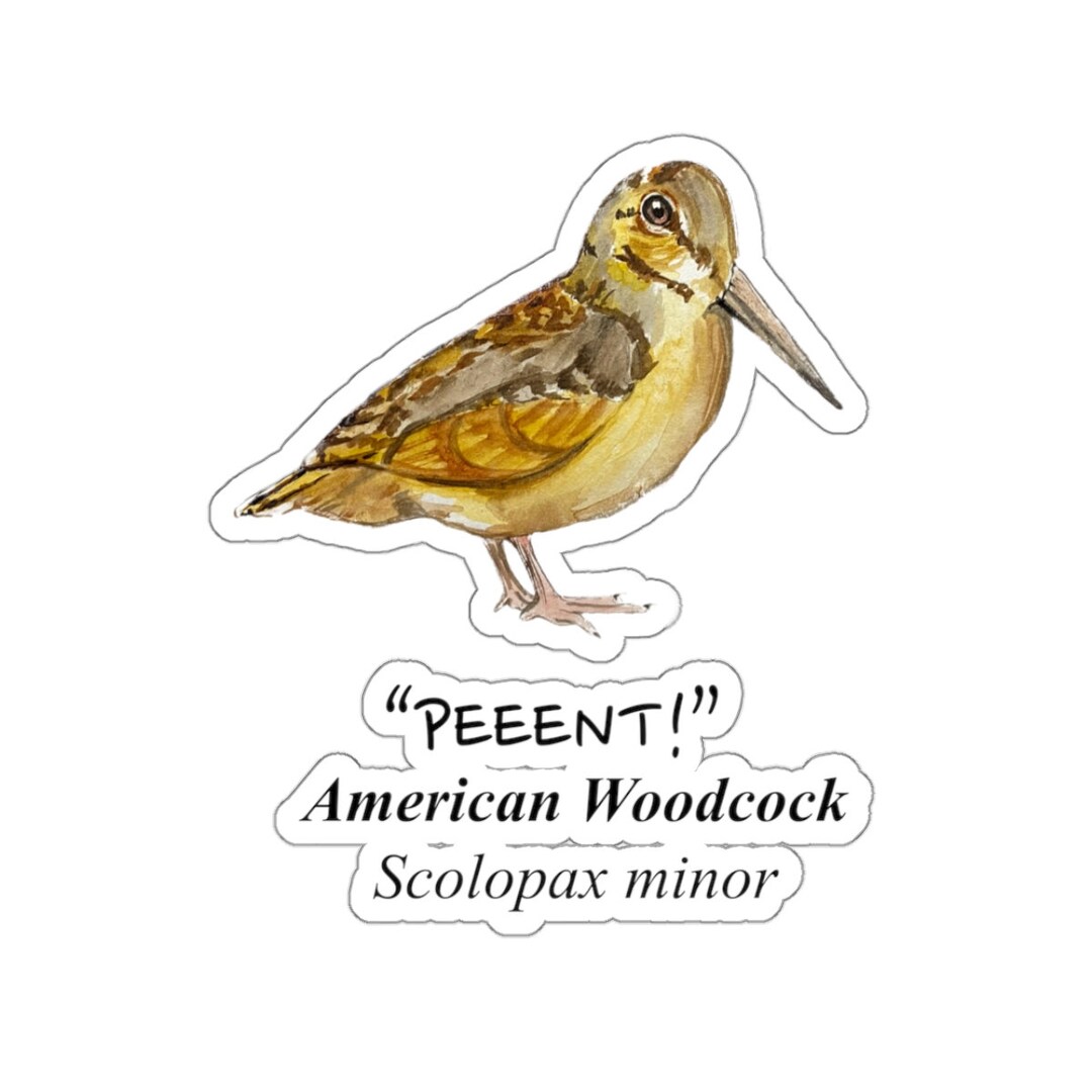 American Woodcock: Bird Mnemonic Bird Call Die-cut Sticker - Etsy