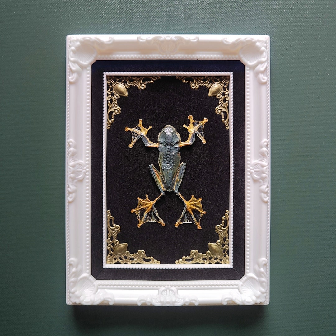 Real Taxidermy Frog on Ornate White Plastic Frame 8 X 6 Gothic Home ...