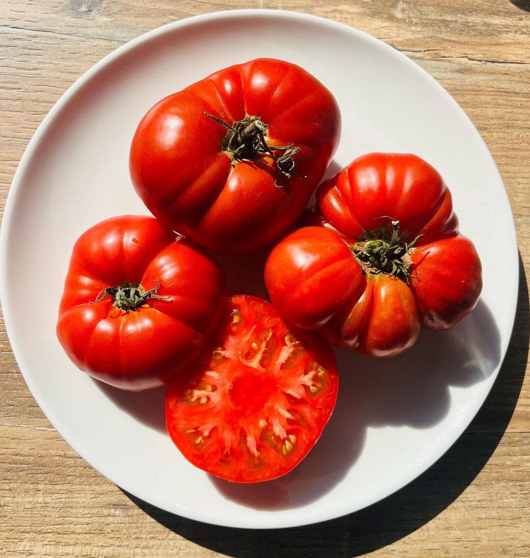 Brutus Tomato (10 Seeds) - Etsy