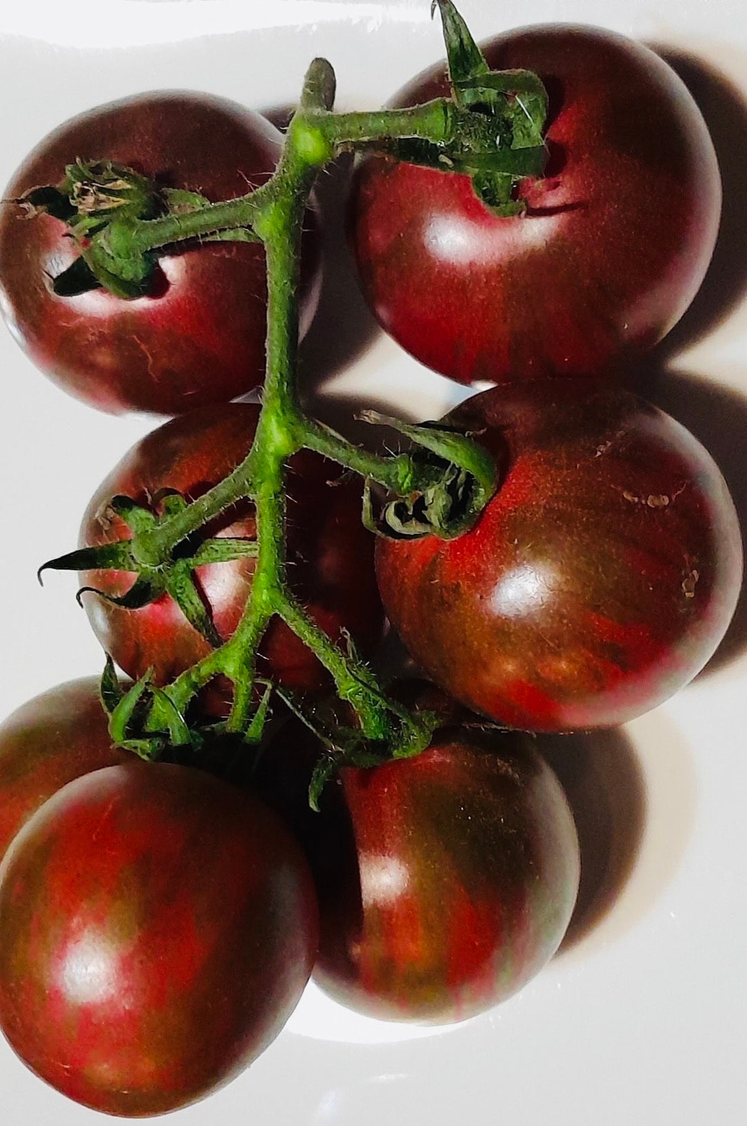 Violet Jasper Tomato (10 Seeds) - Etsy Canada