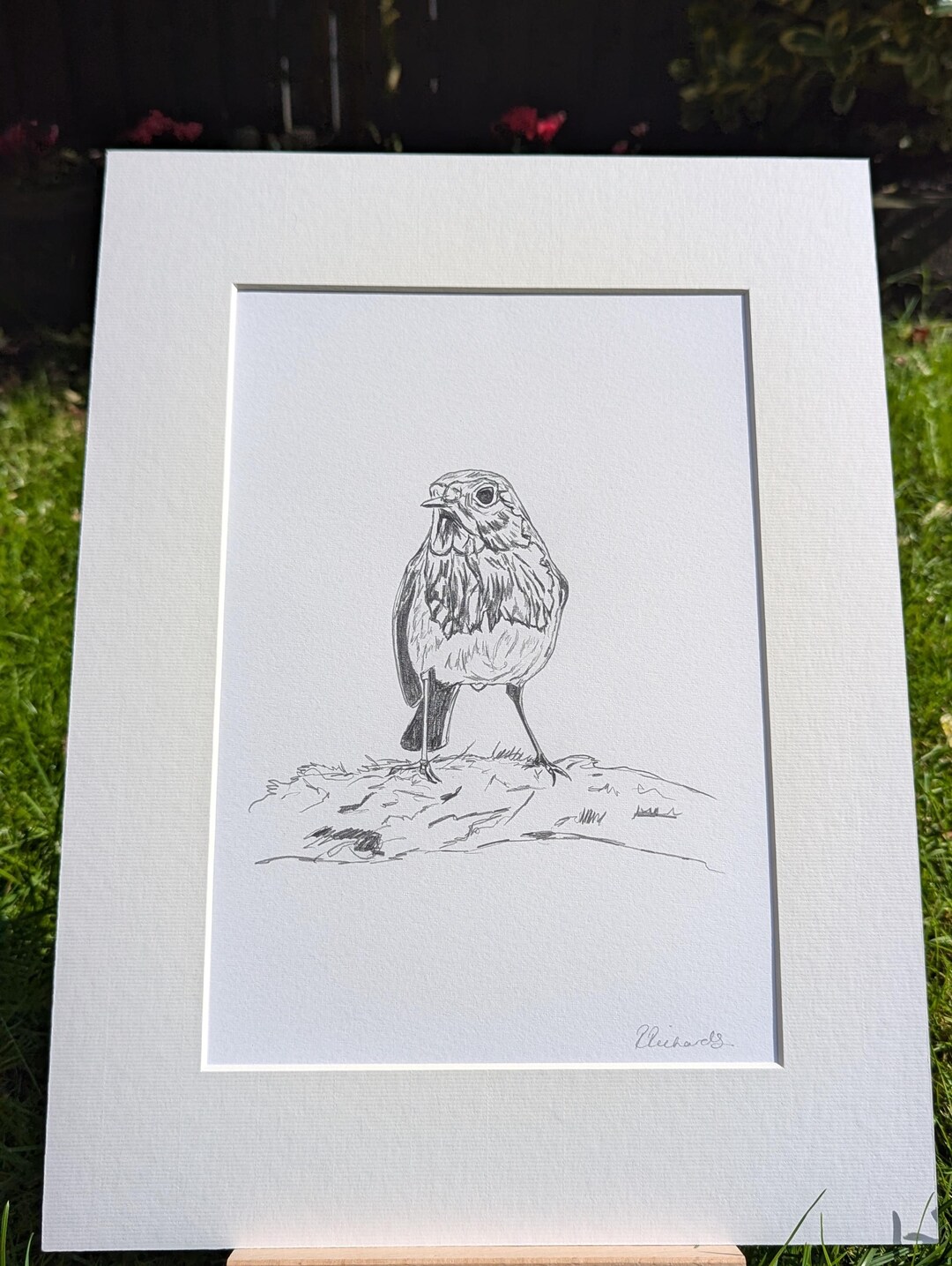 Robin Pencil Drawing, Original Signed Art, Graphite, Eco Recycled Paper ...