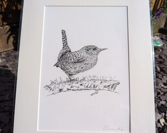 Sparrow Pencil Drawing, Original Artwork, Graphite, Nature, Birds ...