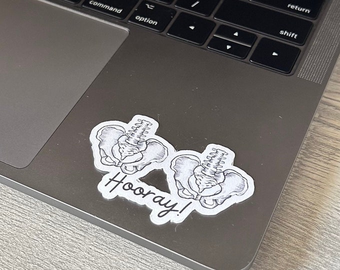 NICU Vinyl Sticker 3.0 Jet Ventilator Sigh of Relief, NICU Nurse, NICU ...