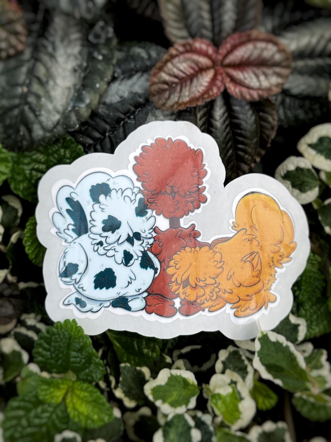 Silkie Trio Sticker: Cute, Adorable, Funny Chicken, Laptop Sticker ...