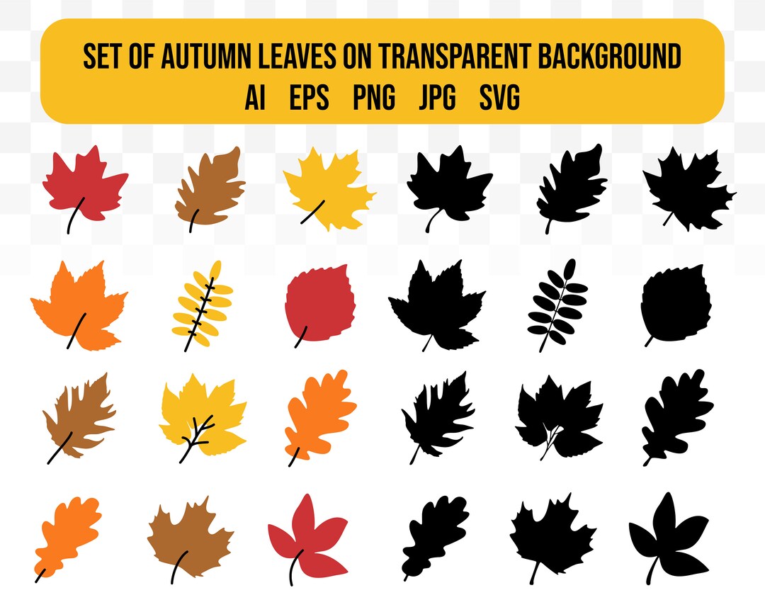 Autumn Leaves SVG, Fall PNG, Fall Leaf Svg Bundle, Silhouette Isolated ...