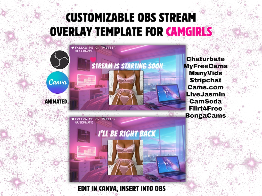 Pink Animated OBS Stream Overlay Template for Camgirls (digital ...