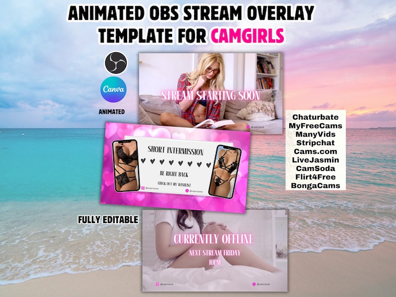 Onlyfans Livestream Screen| Stream Overlay for Camgirl| for Chaturbate Camsoda| Stream Overlay ...