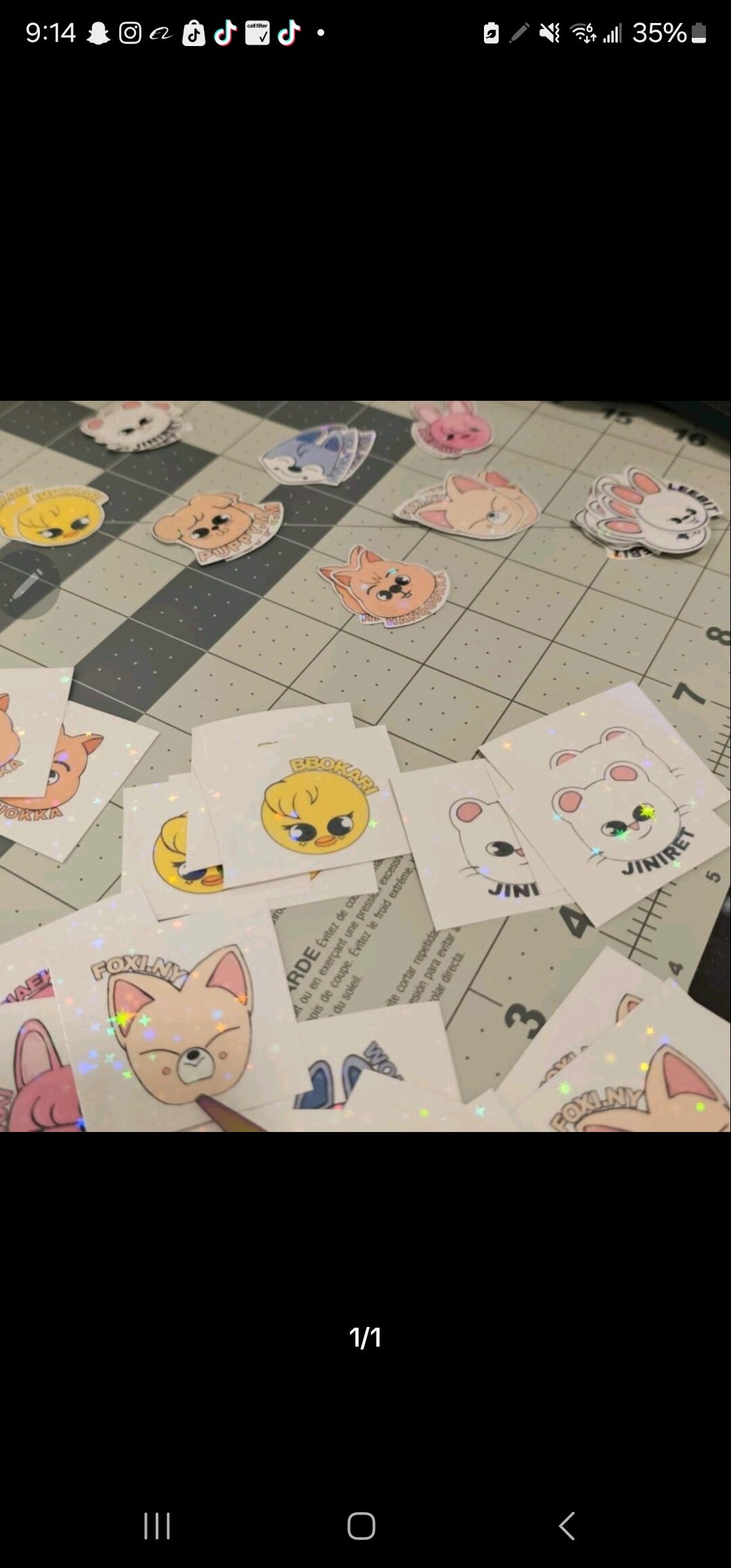 Stray Kids SKZOO Individual Holograohic Vinyl Die-cut Waterproof ...