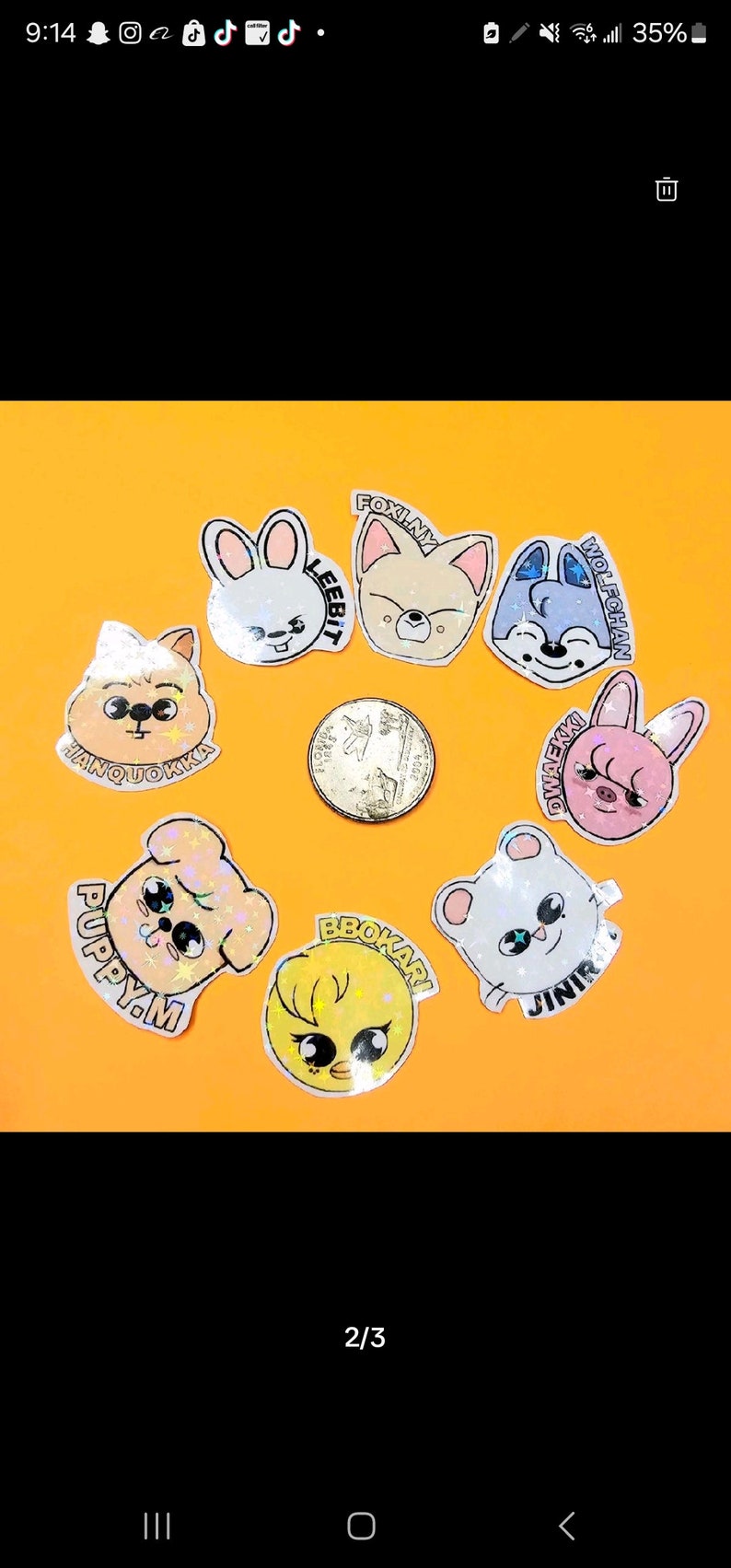 Stray Kids SKZOO Individual Holograohic Vinyl Die-cut Waterproof ...