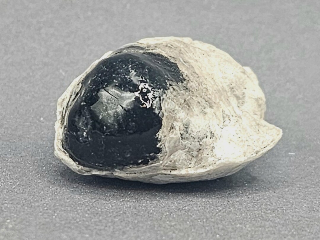 Apache Tear in Perlite Matrix 14gms Obsidian Crystal Gem Healing Reiki ...