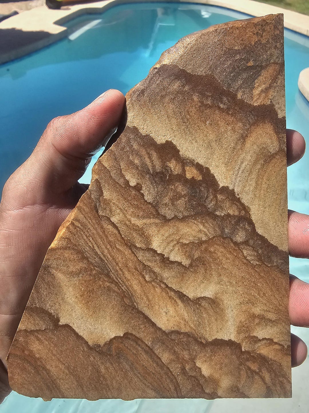 African Queen Picture Jasper Slab 10.50oz/298 Gms Rough Specimen ...