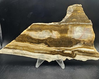 Conglomerate Puddingstone Slab 145 Gms Arizona Lapidary Rough Specimen ...