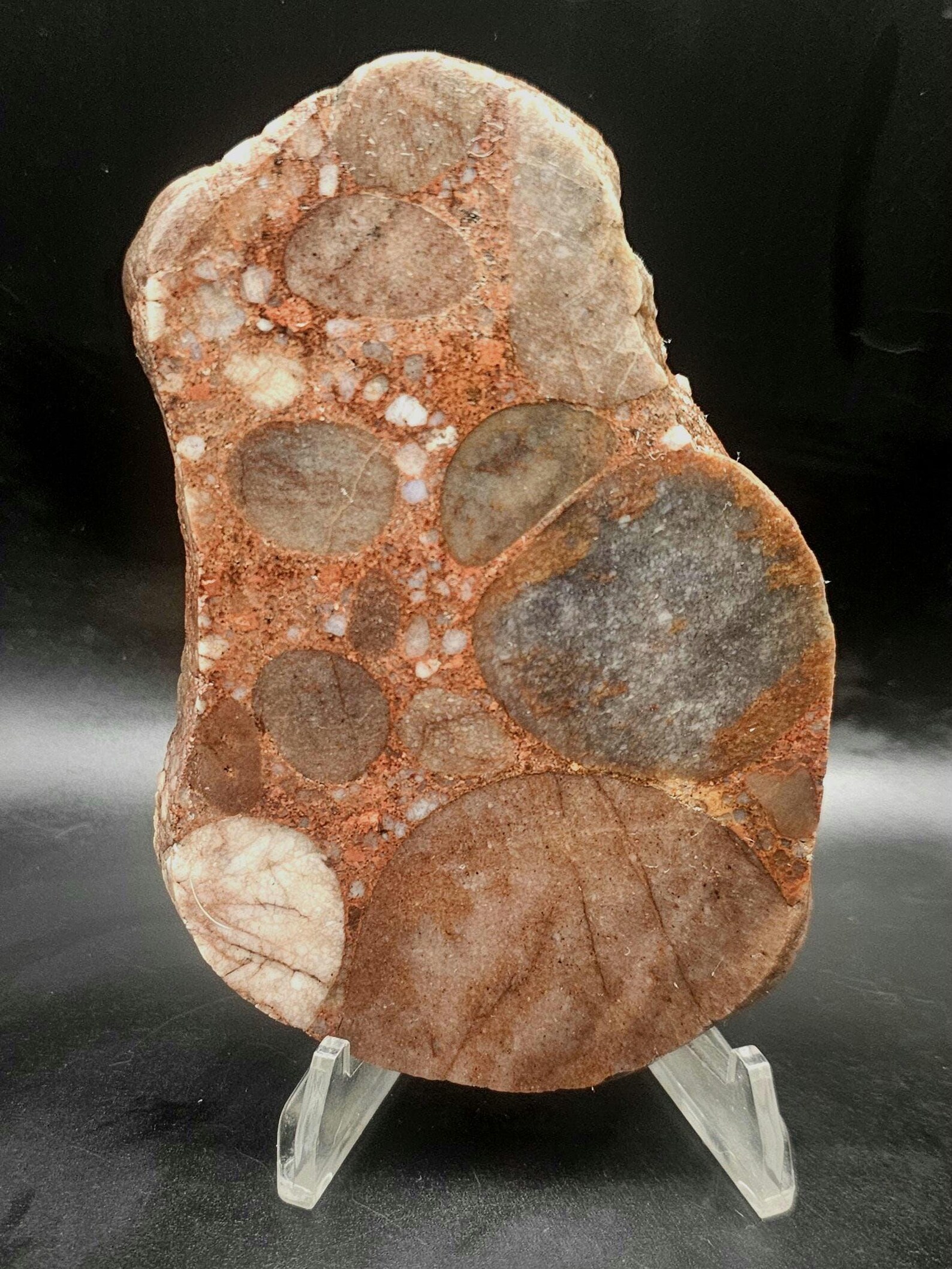 Conglomerate Puddingstone Slab 150 Gms Arizona Lapidary Rough Specimen ...