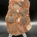 Conglomerate Puddingstone Slab 150 Gms Arizona Lapidary Rough Specimen ...