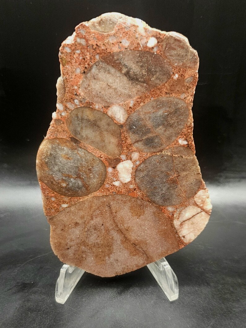 Conglomerate Puddingstone Slab 150 Gms Arizona Lapidary Rough Specimen ...