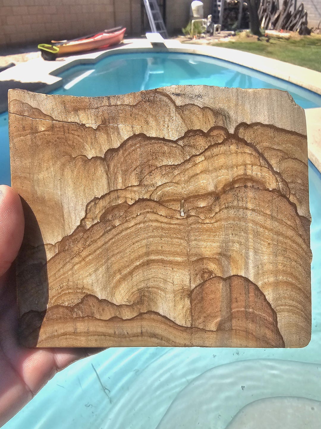 African Queen Picture Jasper Slab 12.05oz/342 Gms Rough Specimen ...