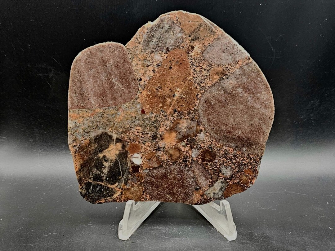 Conglomerate Puddingstone Slab 110 Gms Arizona Lapidary Rough Specimen ...