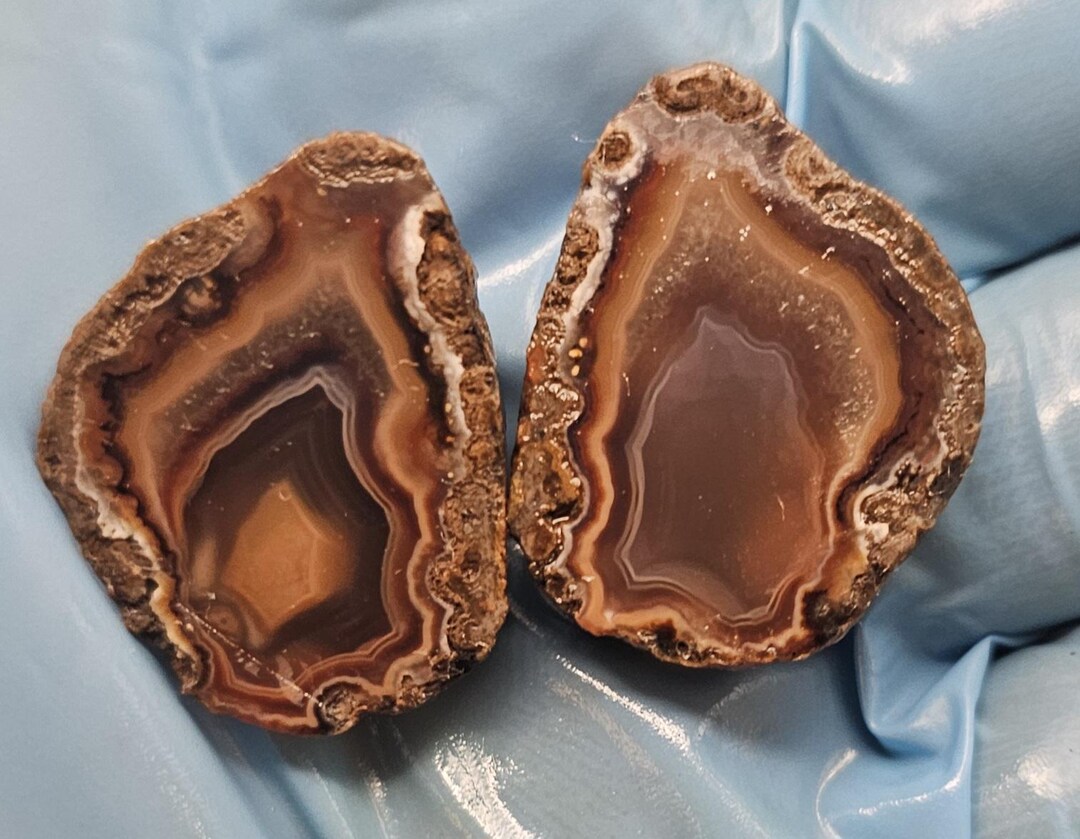 Malawian Agate Nodule Pair 13 Grams Rock Geode Lapidary Specimen - Etsy