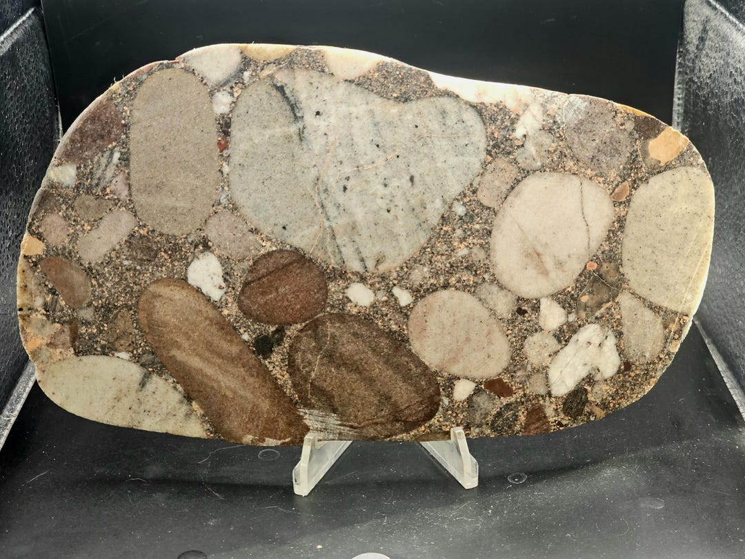 Conglomerate Puddingstone Slab 12.20oz/ 346gms Arizona Lapidary Rough ...