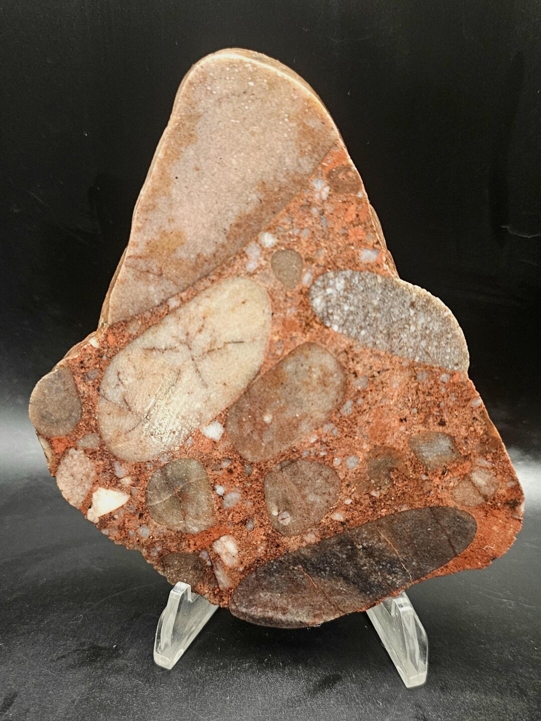 Conglomerate Puddingstone Slab 145 Gms Arizona Lapidary Rough Specimen ...