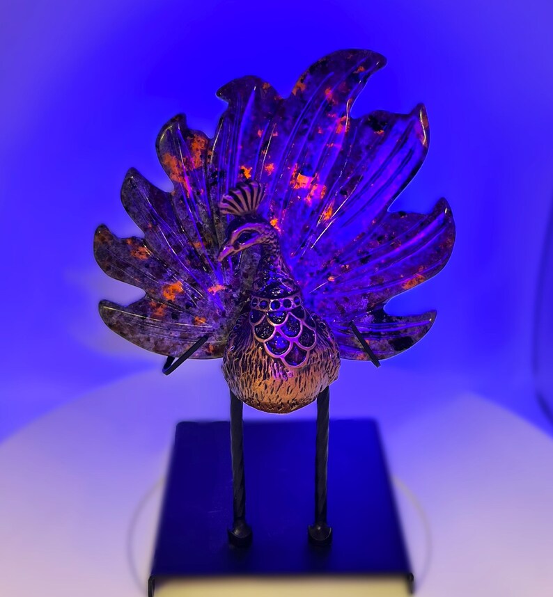 YOOPERLITE PEACOCK Wing Feathers With Bronze & Black Stand. UV Reactive ...