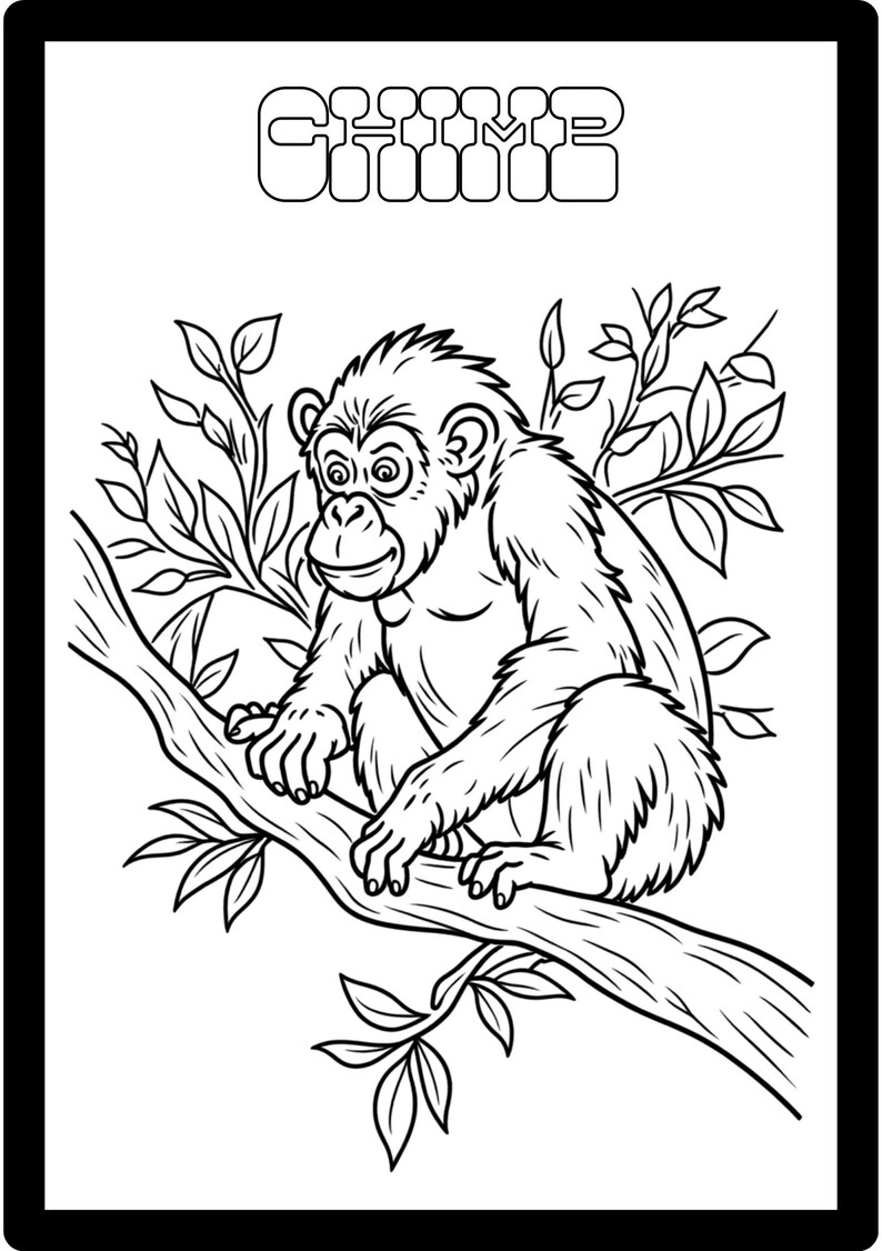 In the Jungle Coloring Book, Wild Jungle, Tropical Treasures ...