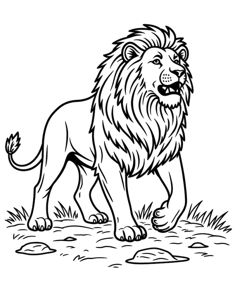 Jungle Animal Coloring Book, Adorable Critters, Safari Squad, Jungle ...