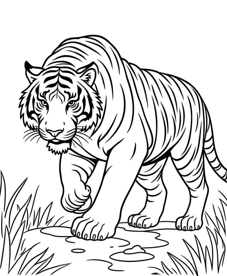 Jungle Animal Coloring Book, Adorable Critters, Safari Squad, Jungle ...
