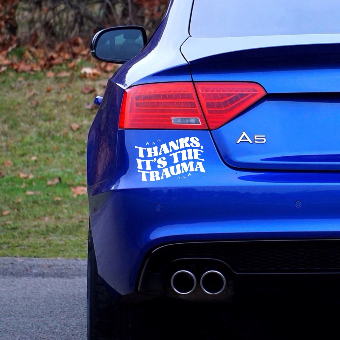 Thanks, Its the Trauma SVG/PNG Digital Download for Cricut and DIY ...