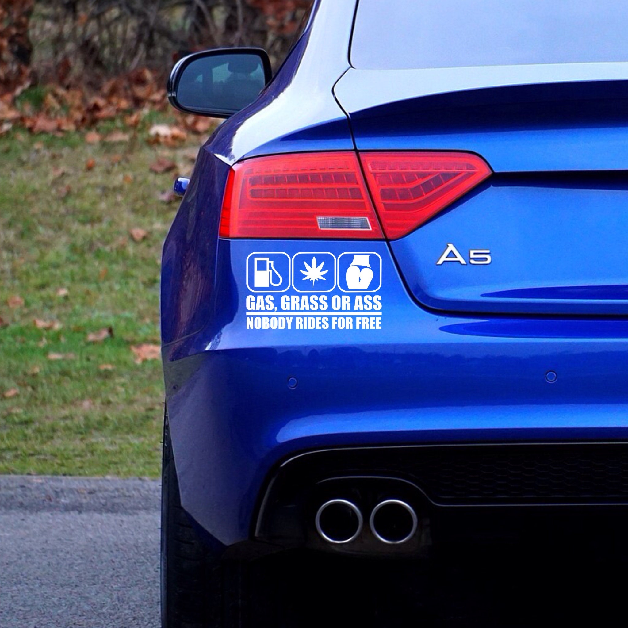 Gas Grass Or Something Else Nobody Rides For Free Funny Bumper Sticker Pngsvg Digital