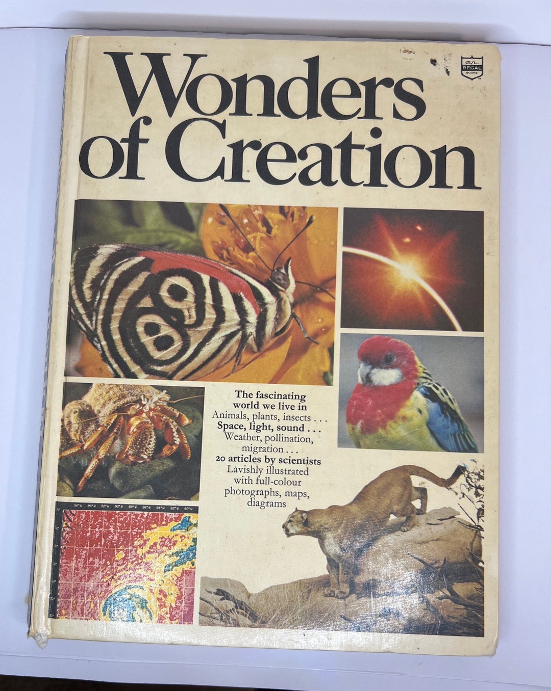 Vintage 1975 Hardcover Book "wonders of Creation", Regal Books Division ...