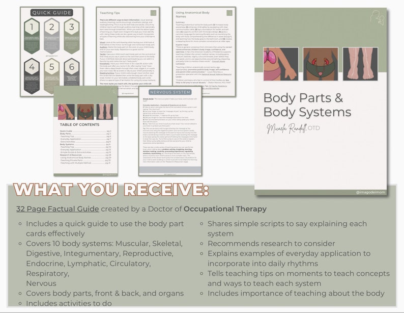 Personalized Body Parts & Systems Cards 2 Guides Cards, Factual Guide ...