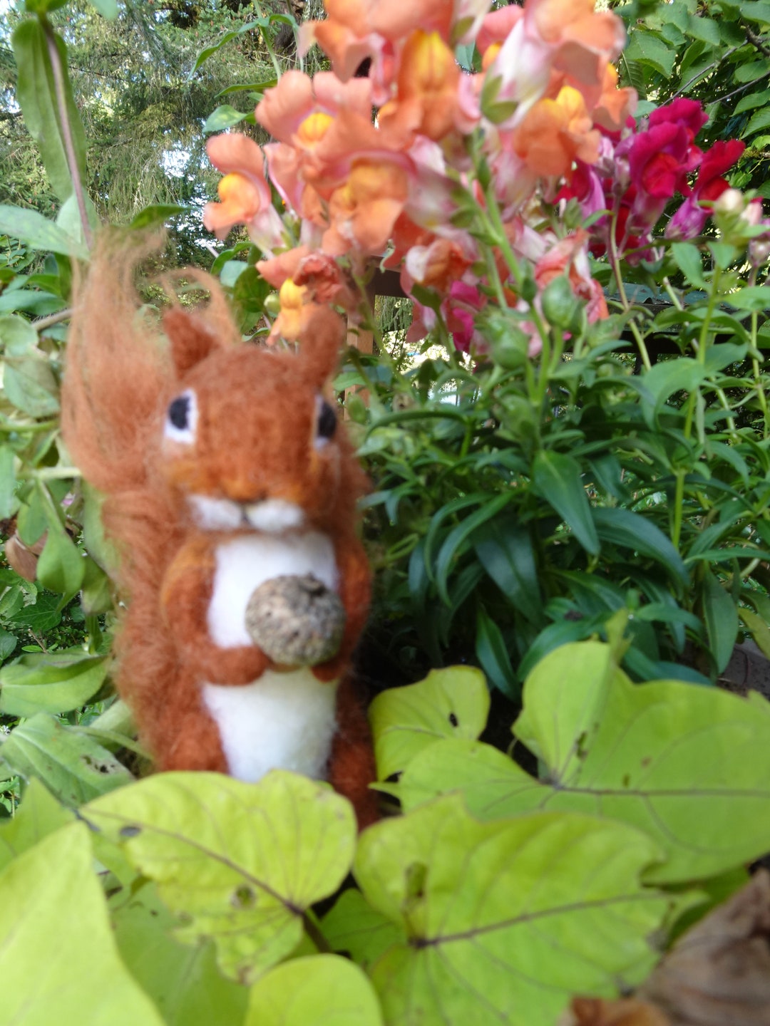 Adorable Squirrel - Etsy