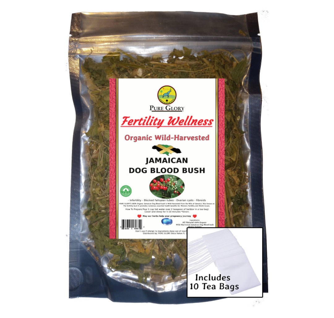 Organic Jamaican Dog Blood Bushincludes Tea Bags Fertility Bush ...