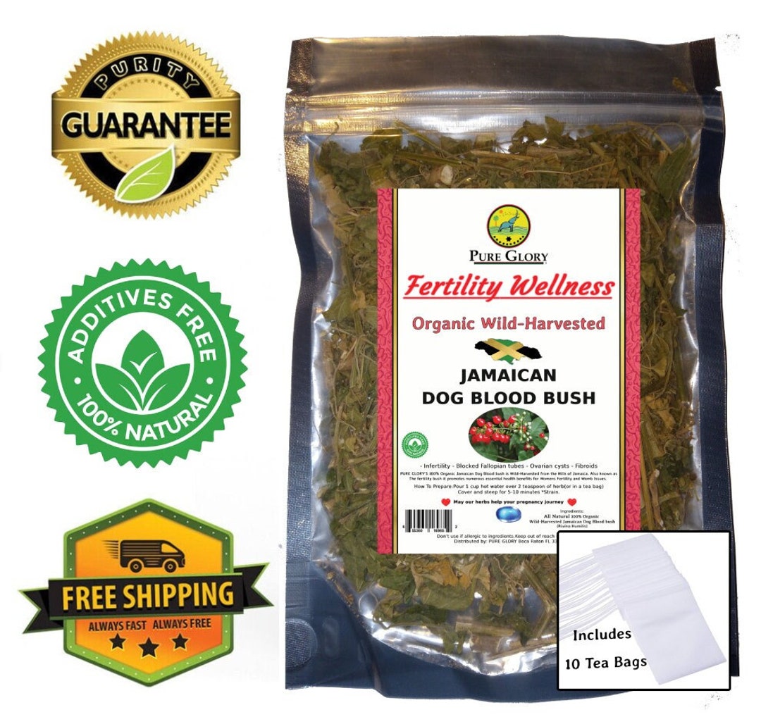 Organic Jamaican Dog Blood Bushincludes Tea Bags 1oz Fertility Bush ...
