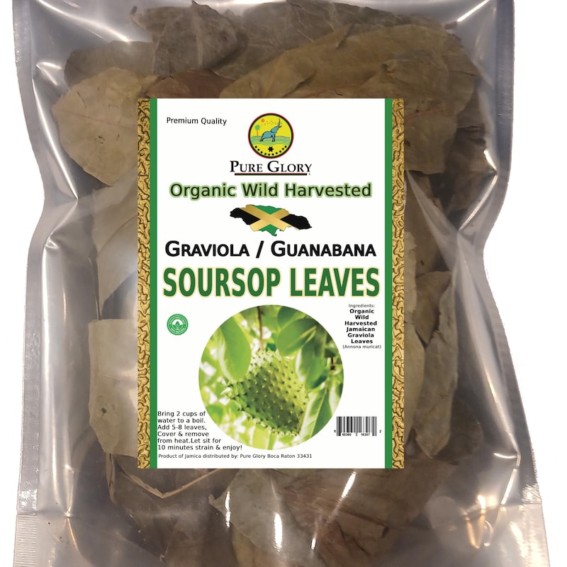 Soursop Jamaican Leaves - Etsy