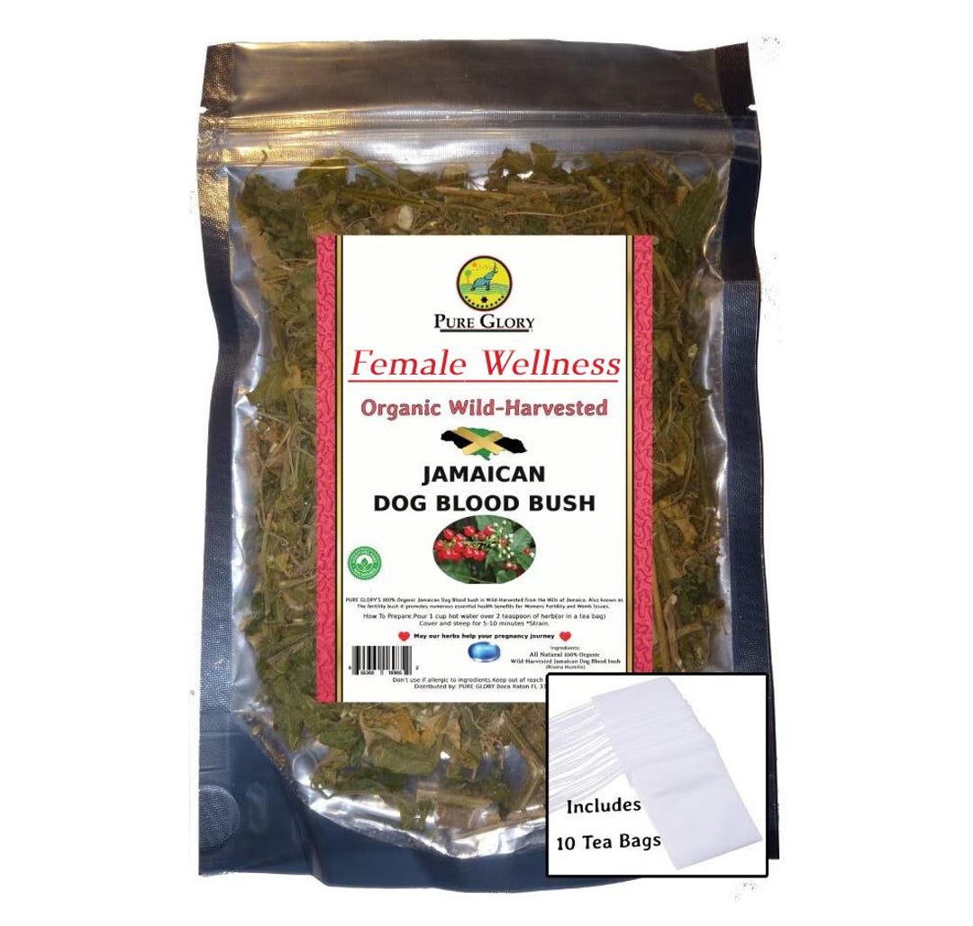 Fertility Bush | Organic Jamaican Dog Blood Bush (with Tea Bags ...