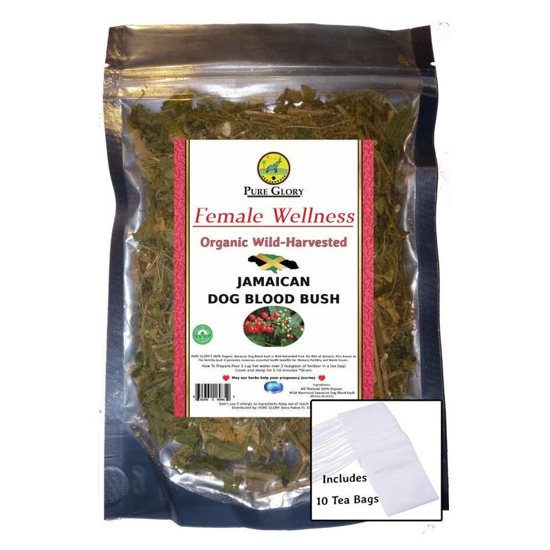 Jenna Hagar Bush Divorce - Etsy Australia