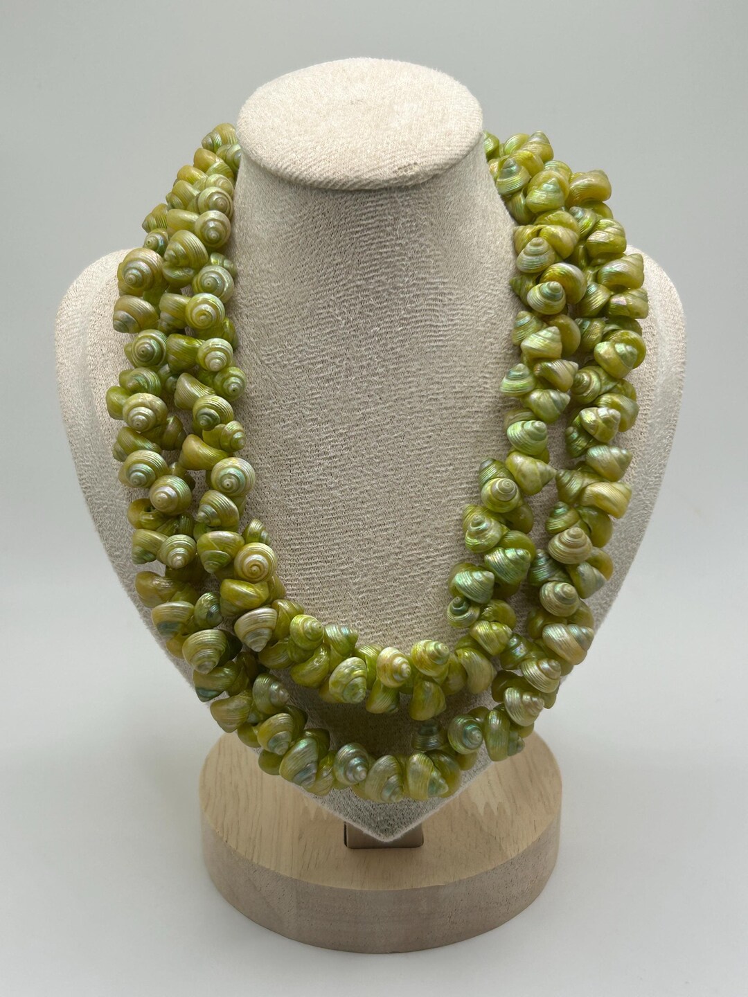 Mid Century Tasmanian Maireener Trochus Shell Necklace Dyed Lime Green ...