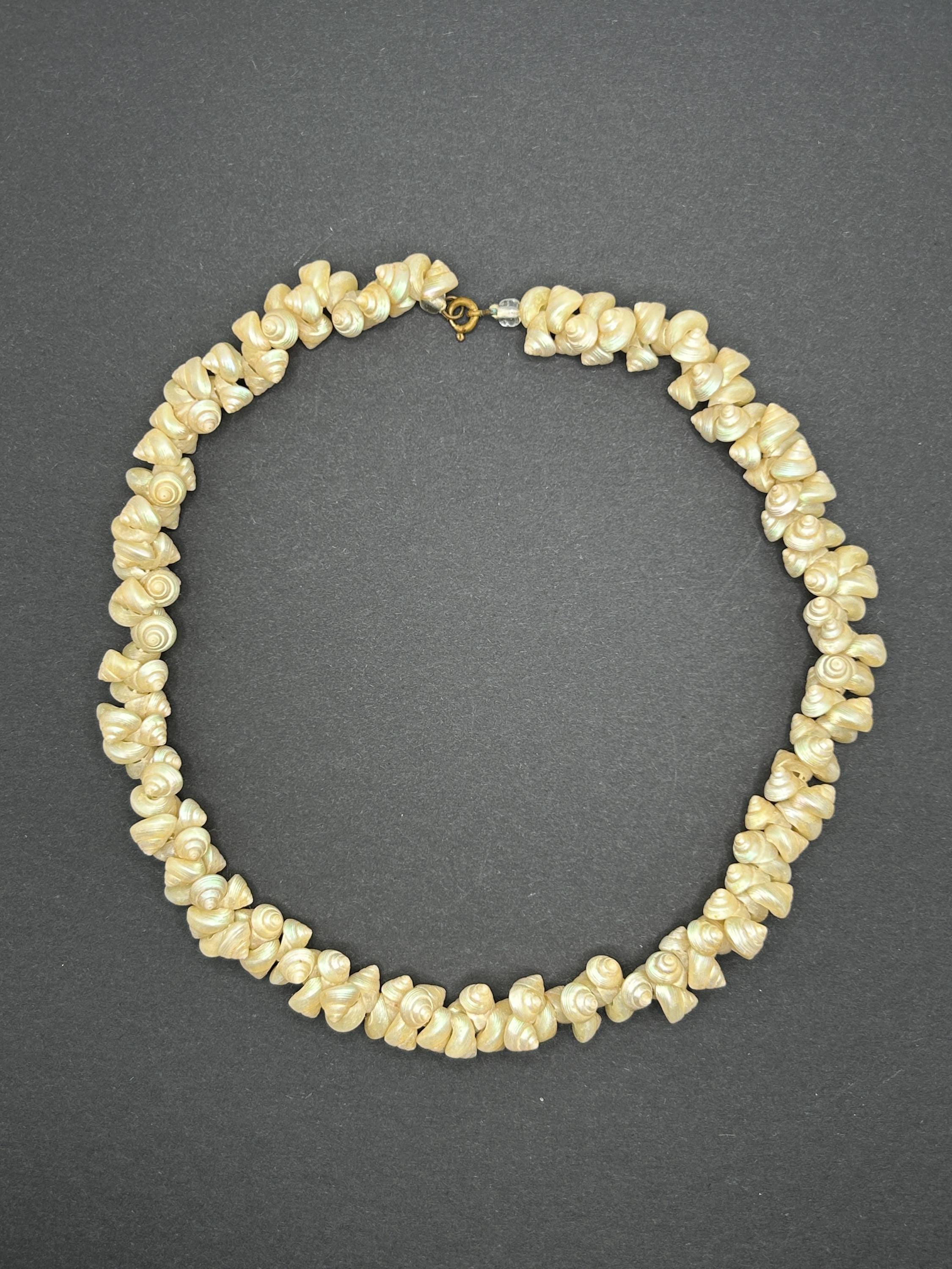 Victorian Tasmanian Trochus Shell Necklace - Length 18 Inches - Circa ...