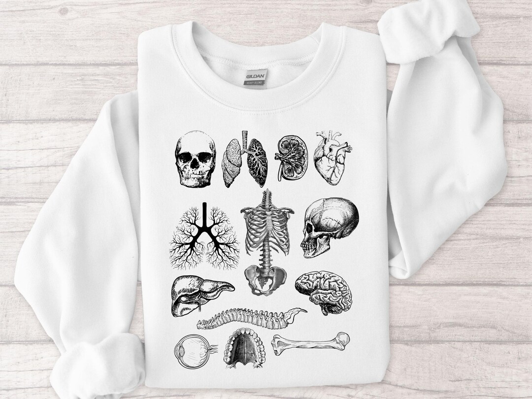 Vintage Human Anatomy PNG, Health Professional Digital Download - Etsy