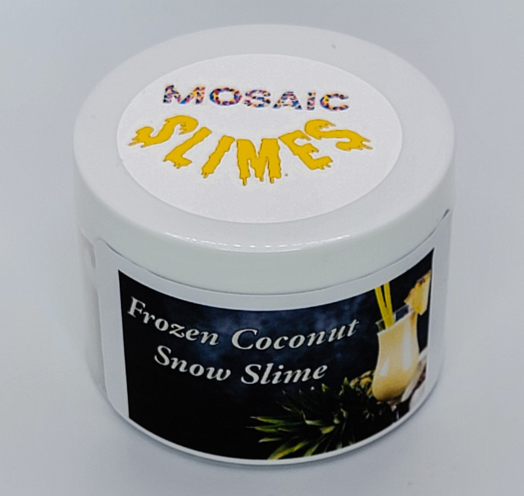 Frozen Coconut Snow Slime - Etsy