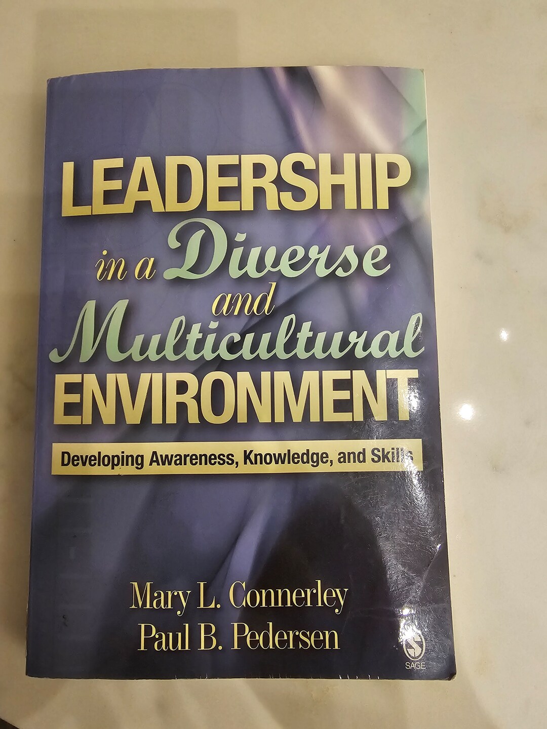 Leadership in a Diverse and Multicultural Environment: - Etsy