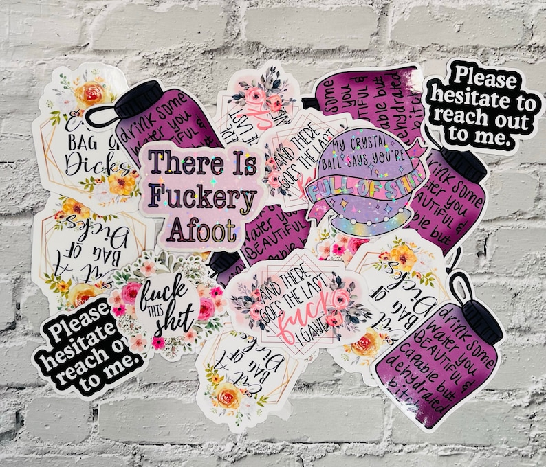 Inappropriate Vinyl Stickers Waterproof Vinyl Stickers Offensive ...