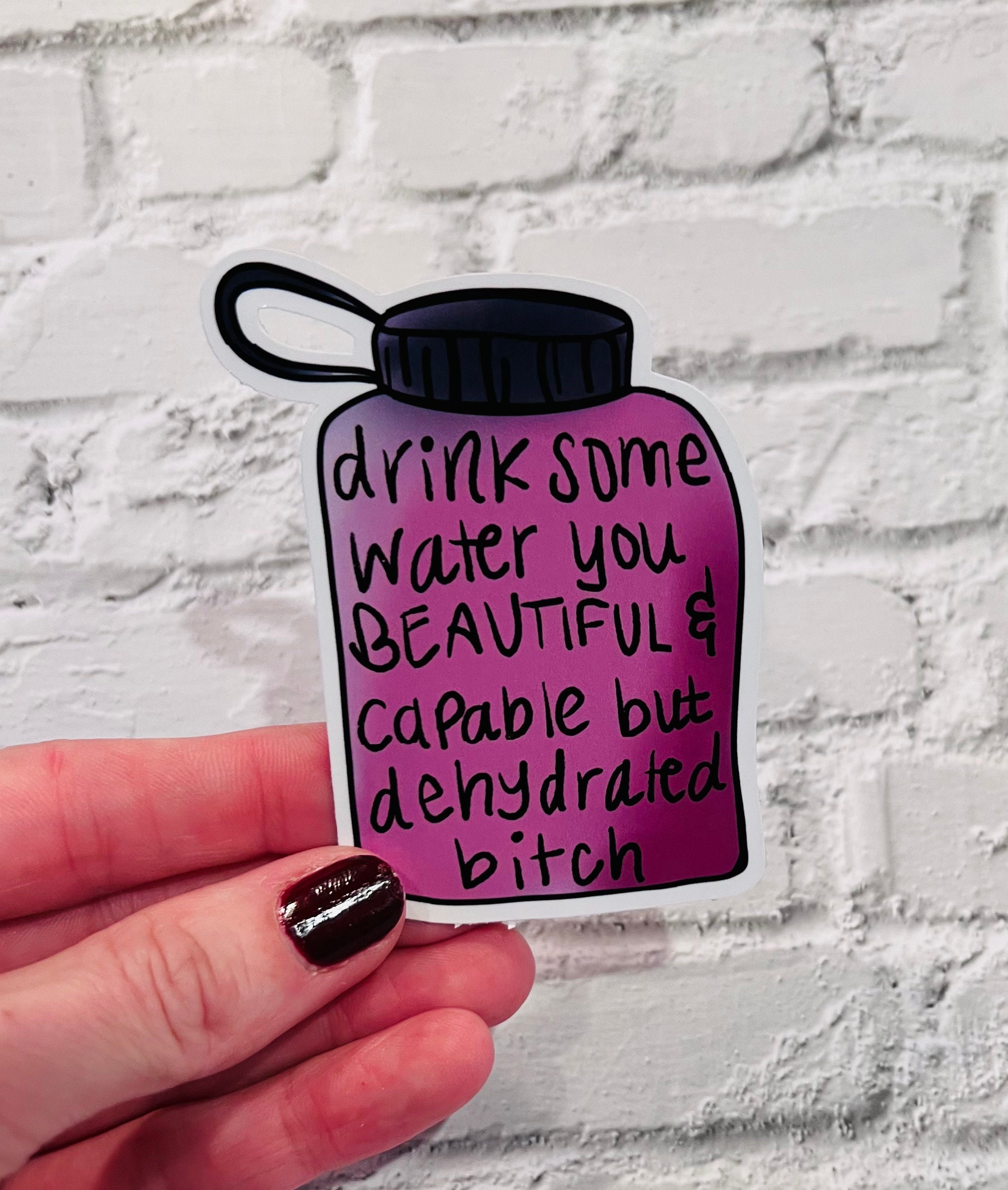 Inappropriate Vinyl Stickers Waterproof Vinyl Stickers Offensive ...