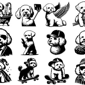 Bichon Frise SVG Bichon Fluffy Cute Royal SVG Bichon Circus Svg Puffy ...