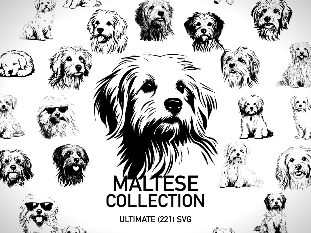 Maltese Dog Svg Animal Stickers Puppy Clipart 221 Cut Svg Files DIY ...